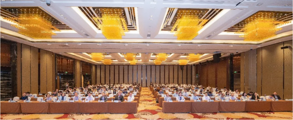 2025 International Conference on Climate and Energy Finance – ISETS ...